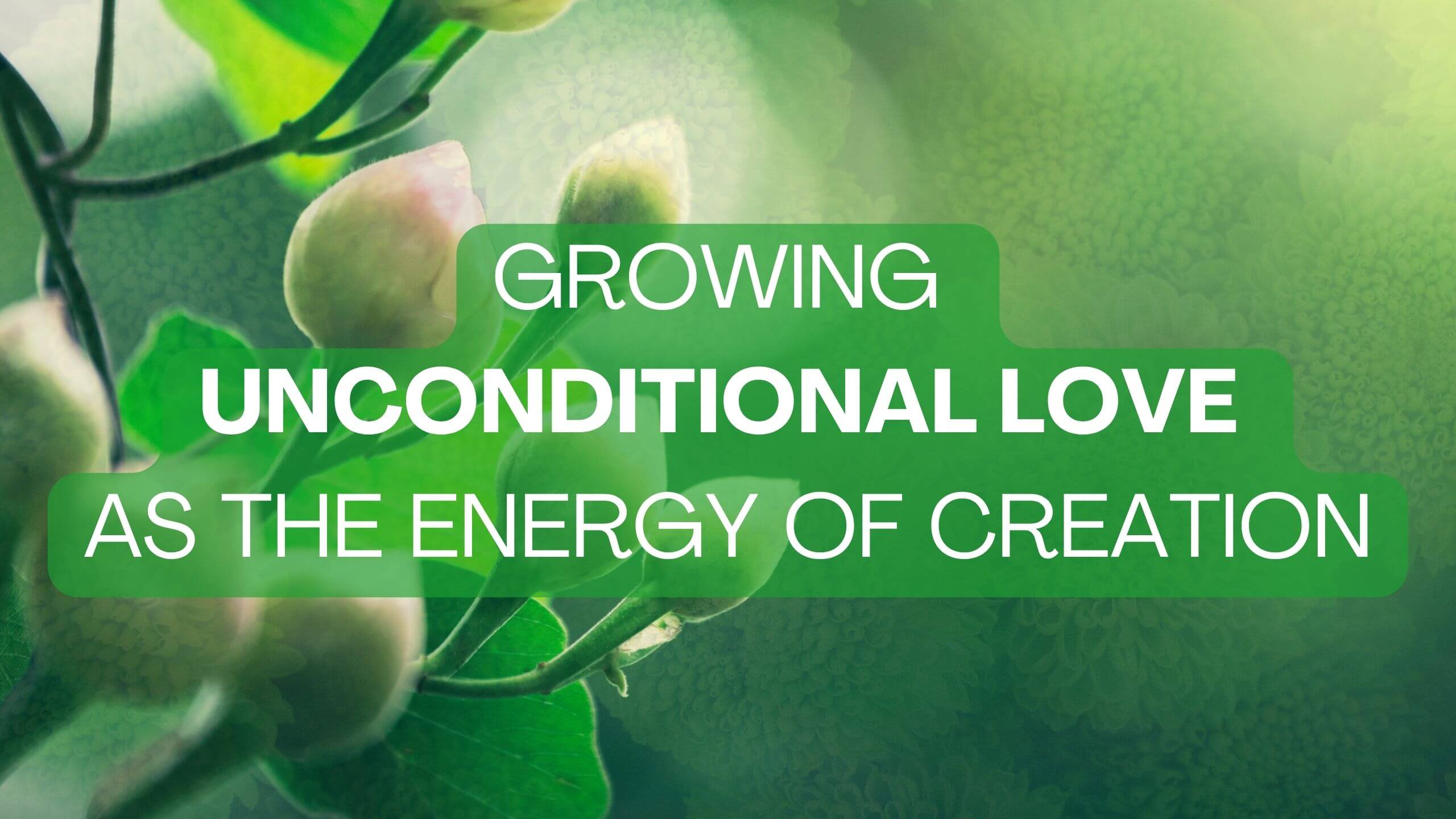 Circle of Growing Love - Ultimate Mastery Academy